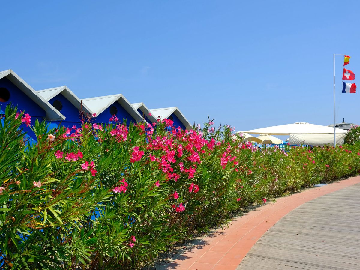 Camping Rubicone | Stacaravans & Bungalowtenten | Roan